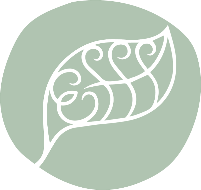 Programs - EFFF Lifestyle & Wellbeing Coaching Maitland, Hunter Valley